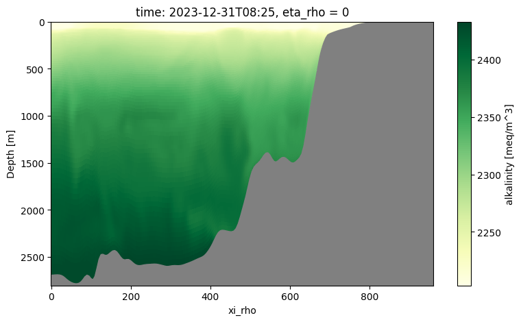 Creating the initial conditions — ROMS-Tools documentation
